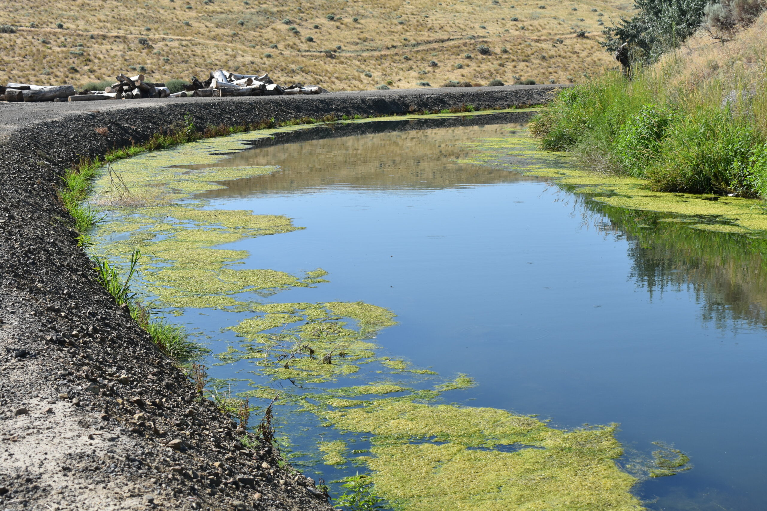 Endothall Treatment - Kennewick Irrigation District
